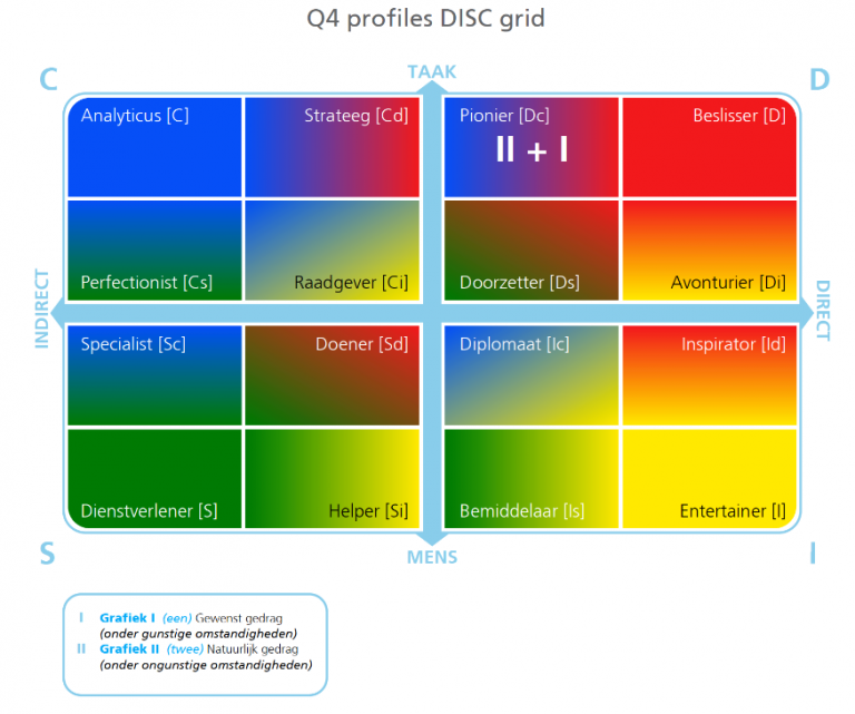 DISC Profielanalyse en Waardenprofiel – Mijn zelfbeeld
